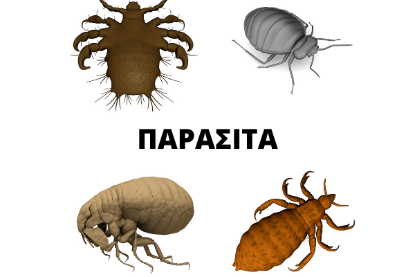 Πανάκεια. μαγειρικη σοδα χρησεις 100 συνταγές υγειας
